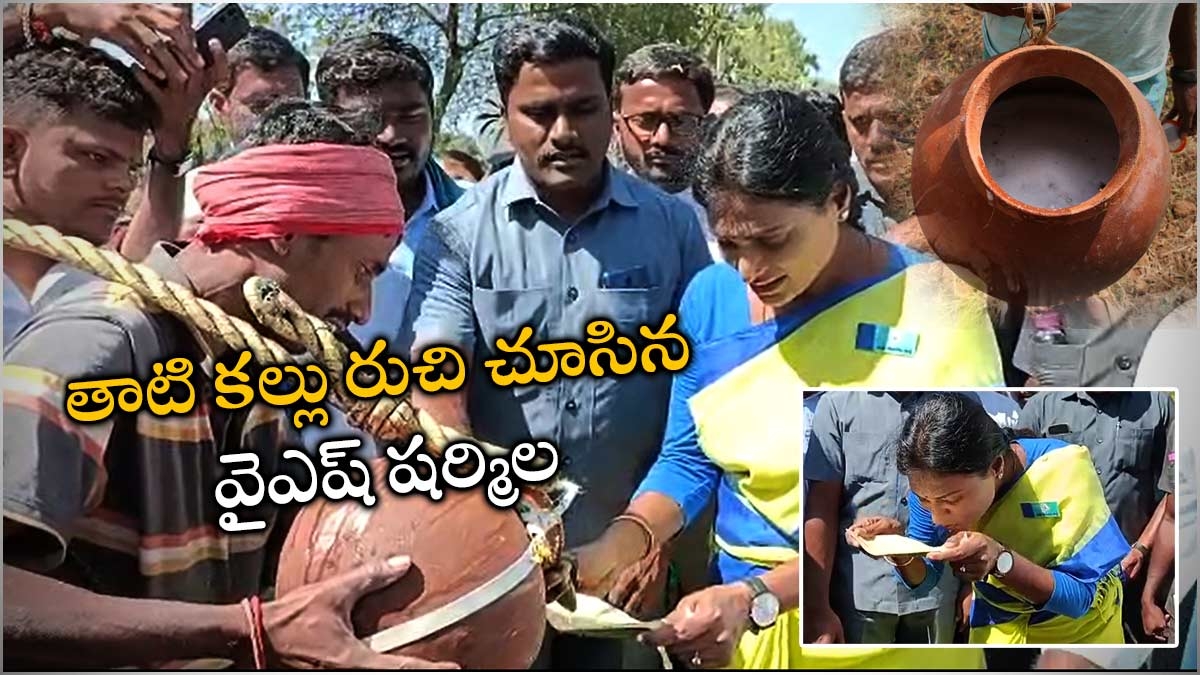 YS Sharmila: తాటి కల్లు తాగిన వైఎస్ షర్మిల.. వీడియో వైరల్.. | The video ...
