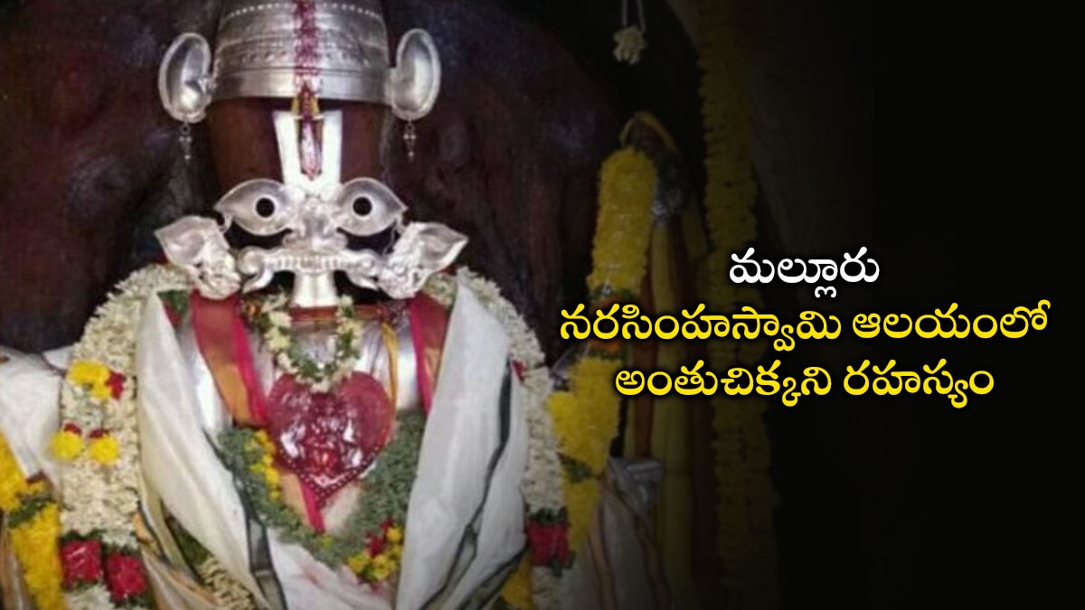 మానవ శరీరంలా మెత్తగా, ఛాతీపై వెంట్రుకలతో నరసింహ విగ్రహం.. మల్లూరు ...