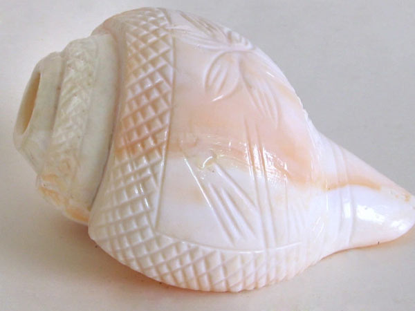 శంఖం అంటే ఏమిటి ? | cone is a combination of two Sanskrit words ...