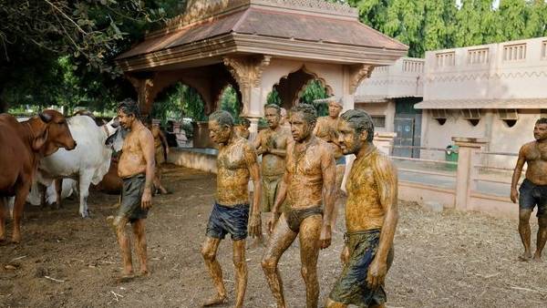 cow dung bath: ఆవుపేడ పూసుకుంటే కరోనాకు చెక్?: ప్రమాదకర ఫంగల్ ...