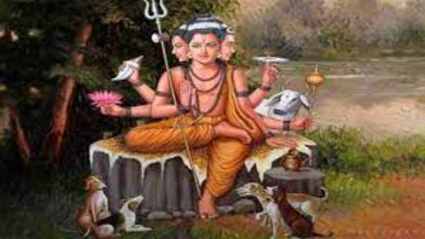 దత్త జయంతి ప్రాముఖ్యత ఏంటి.. కుక్కలకు ఈ రోజున ఏ ఆహారం పెట్టాలి ...