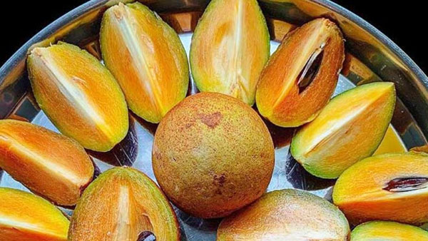 Sapota Benefits: సపోటా తింటున్నారా.. అయితే ఈ విషయాలు తెలుసుకోవాల్సిందే ...