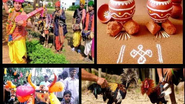 కనుమనాడు కాకి కూడా కదలదు; ప్రయాణాలు నిషిద్ధం.. ఎందుకంటే!! | Kanuma day ...