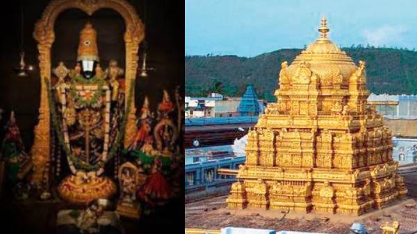 TTD: దేశానికి ఐకాన్ గా శ్రీవారి తిరుమలలో ఆ ప్రాజెక్ట్, లక్షల్లో తాళపత్ర ...
