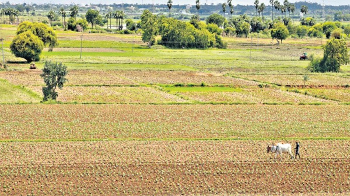 Podu pattalu: జూన్ 24 నుంచి 30 వరకు పోడు భూముల పట్టాల పంపిణీ.. | From ...