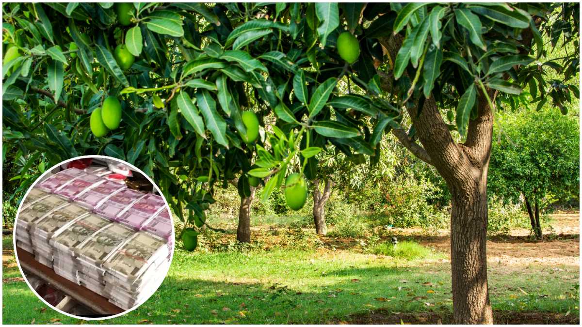 మామిడి చెట్టుపై కోటి రూపాయలు; కర్ణాటక ఎన్నికల్లో బయటపడుతున్న నోట్ల ...