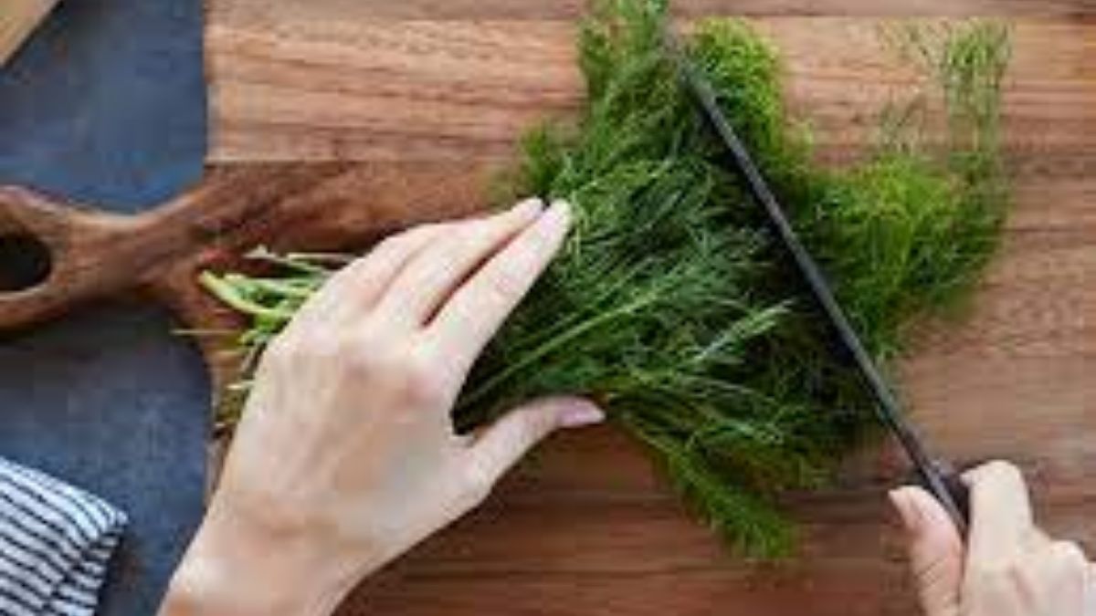 ఉదయాన్నే ఈ నీరు తాగండి.. షుగరు పరార్! | dill water health benefits and ...