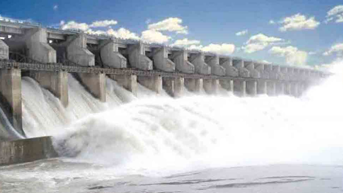 SRSP: పనికిరాకుండా పోయిన కాళేశ్వరం.. పైర్లకు ప్రాణం పోస్తున్న శ్రీరాంసాగర్.. | Crops in ...