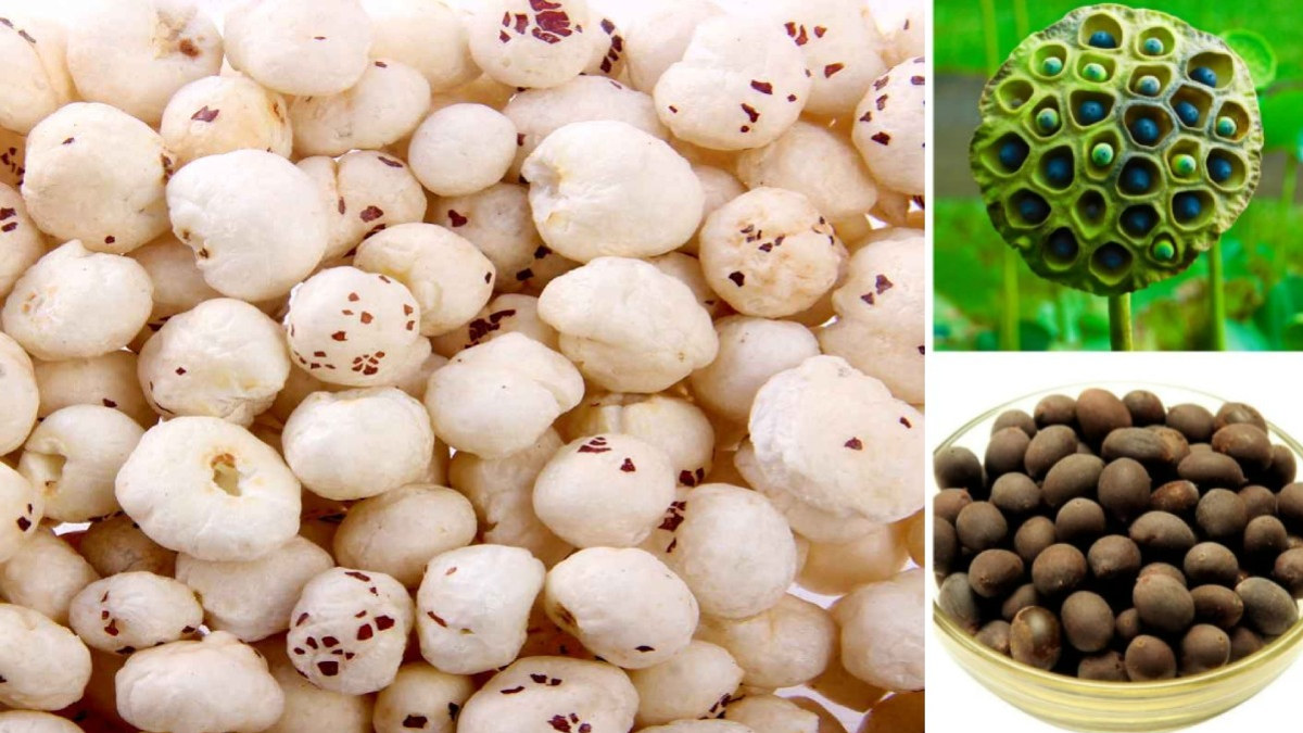 తామర గింజలు( ఫూల్ మఖానా) తింటే లాభమేంటి? | What is the benefits of eating phool makhana ...